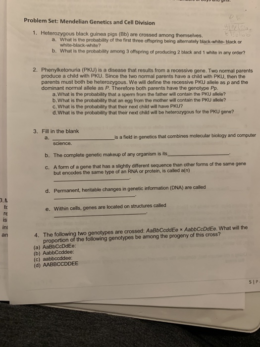 Solved Problem Set: Mendelian Genetics and Cell Division 1. | Chegg.com
