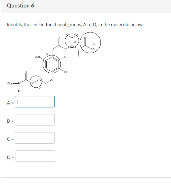 Solved Question 6Identify the circled functional groups, A | Chegg.com