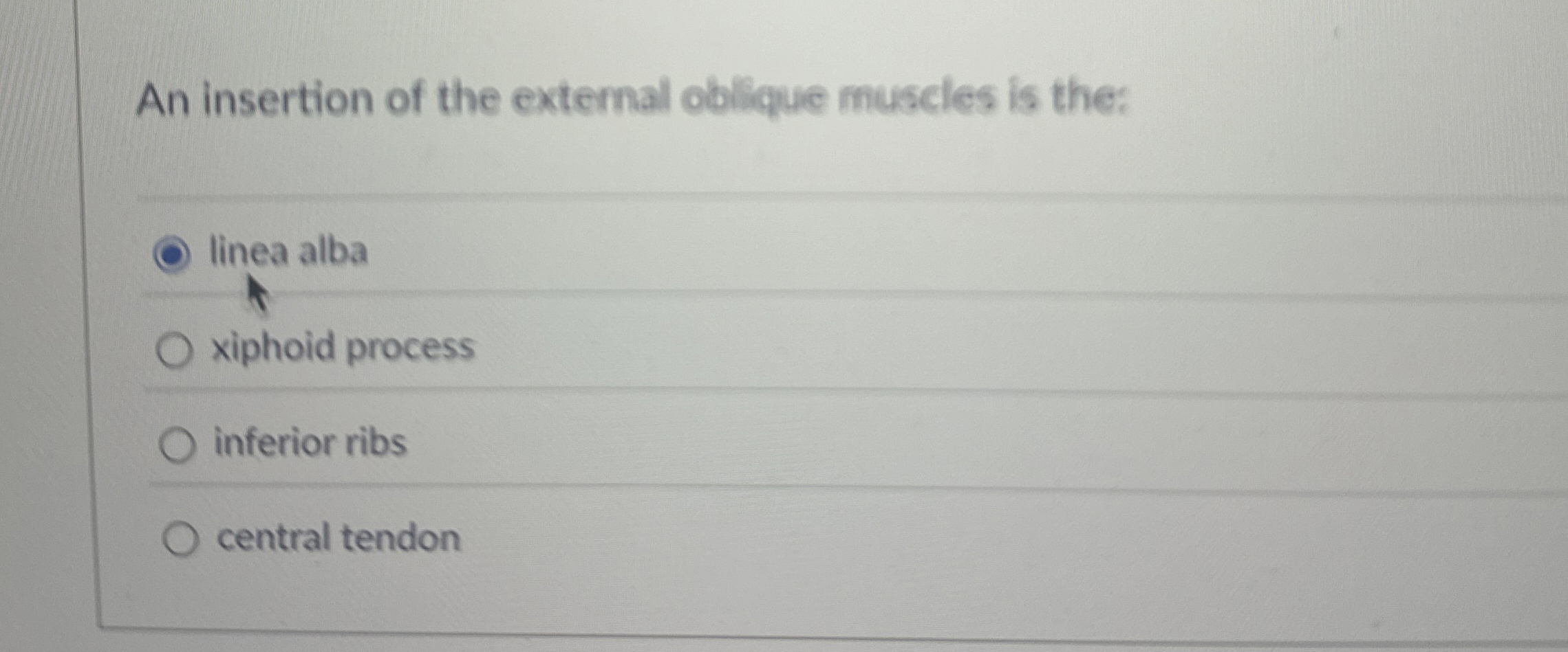 An insertion of the external oblique muscles is | Chegg.com