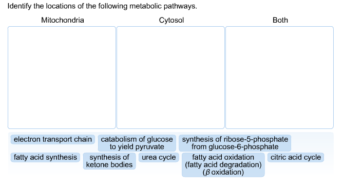 Solved Identify the locations of the following metabolic | Chegg.com
