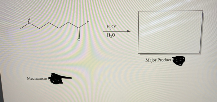 Solved H H30+ HO Major Product Mechanism | Chegg.com