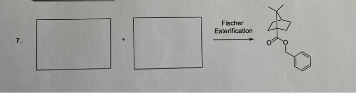 Solved Fischer Esterification | Chegg.com