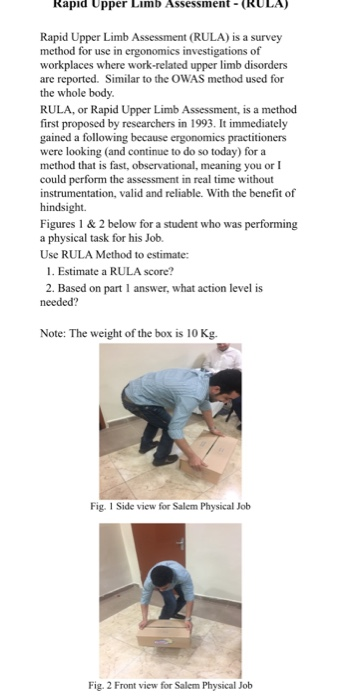 Solved Rapid Upper Limb Assessment - Rapid Upper Limb | Chegg.com