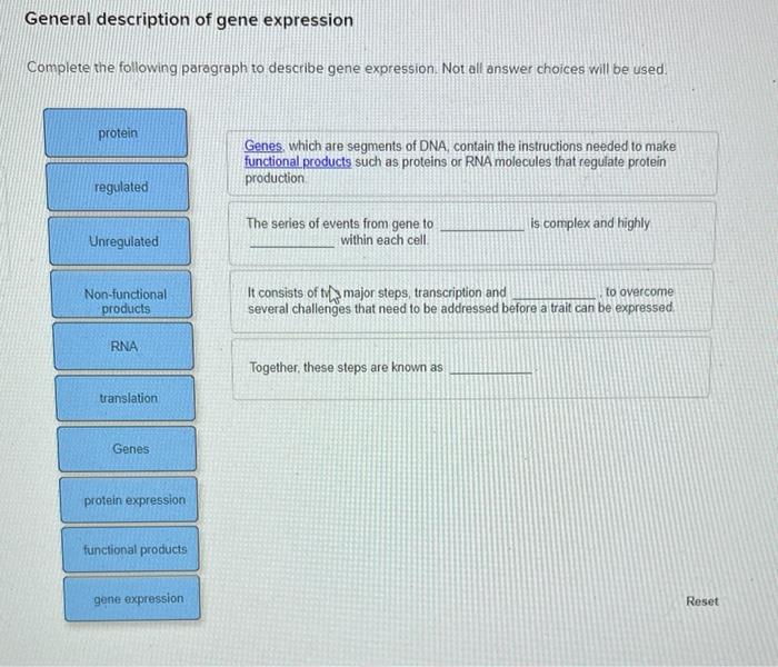 Solved General description of gene expression Complete the | Chegg.com