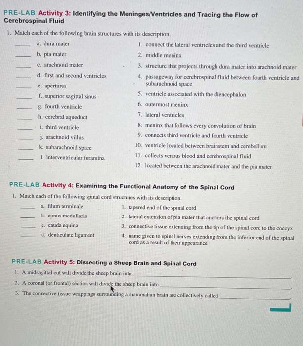 Solved PRE-LAB Activity 3: Identifying the | Chegg.com