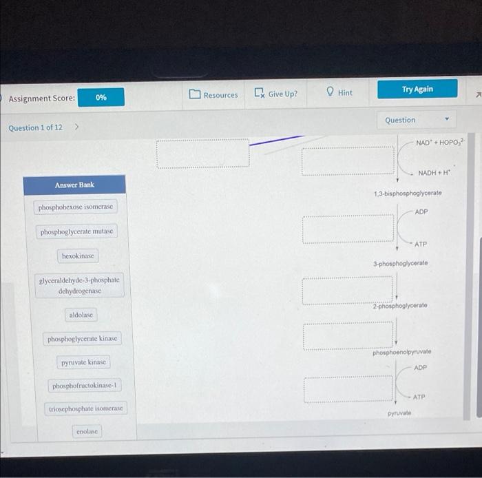 Solved Assignment Score: 0% Resources Give Up? Hint Try | Chegg.com