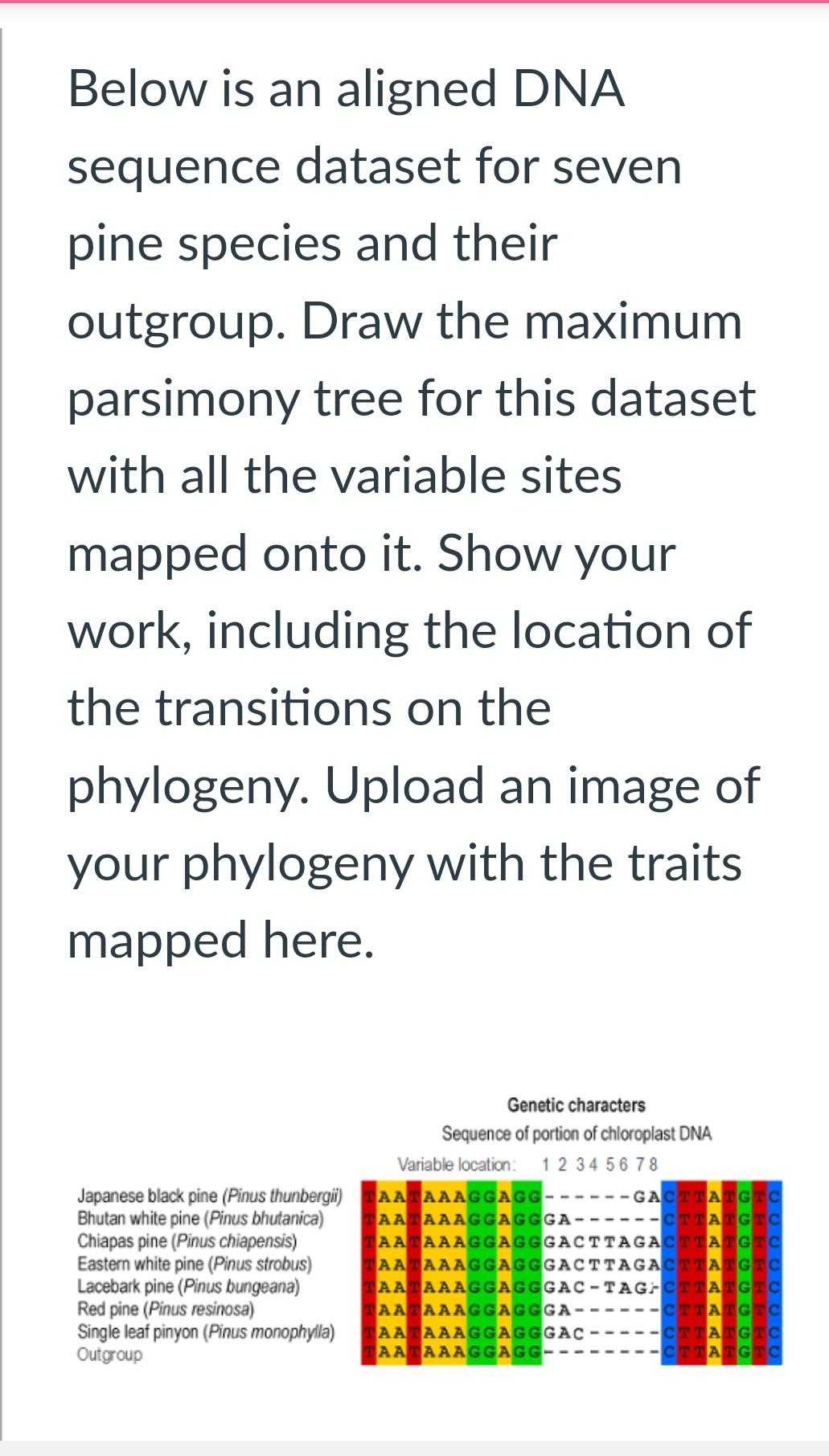 Solved Below is an aligned DNA sequence dataset for seven | Chegg.com