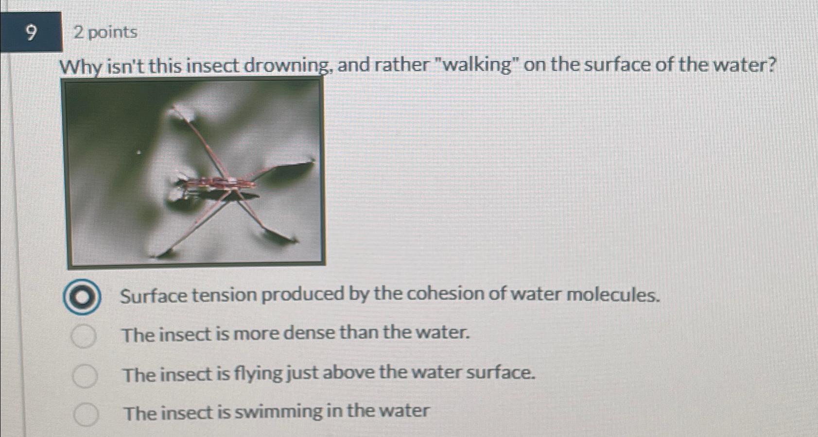 Solved 92 ﻿pointsWhy isn't this insect drowning, and rather | Chegg.com