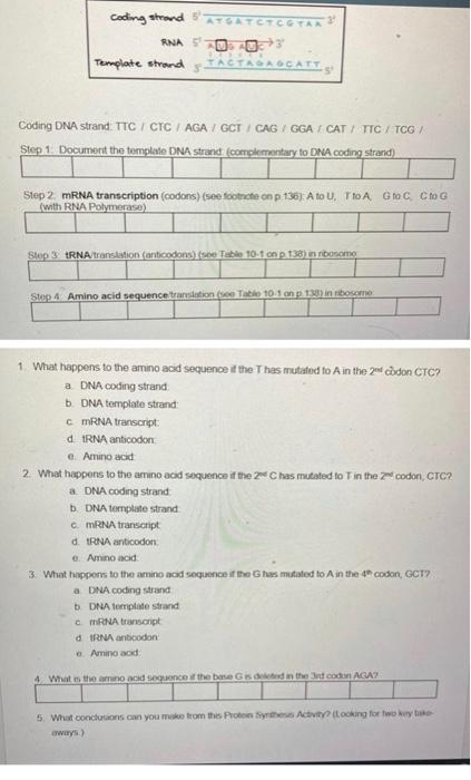Solved Coding DNA strand: TTC I CTC I AGA I GCT I CAG / GGA | Chegg.com