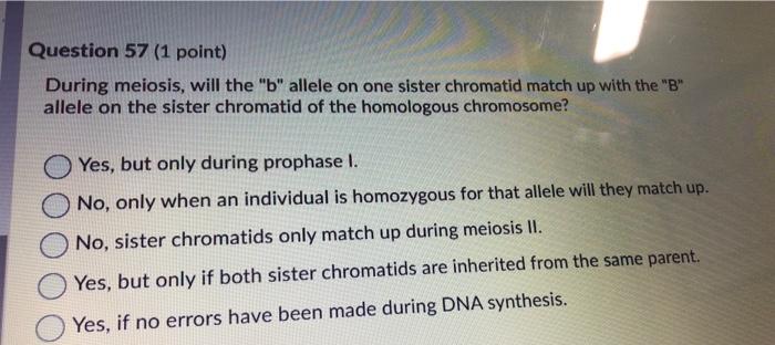 Solved Question 57 (1 point) During meiosis, will the "b" | Chegg.com
