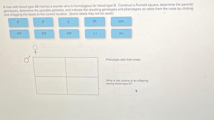 Solved A man with blood type AB marries a woman who is | Chegg.com