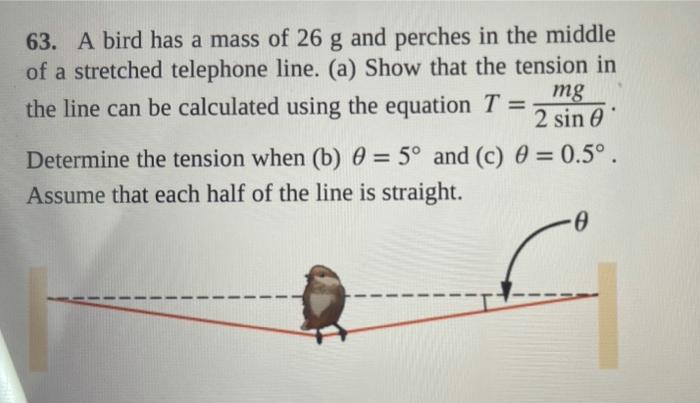 Solved 63. A bird has a mass of 26 g and perches in the | Chegg.com
