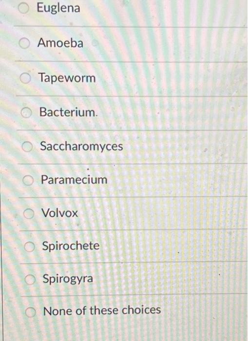 Solved Identify the genus of the organism on the slide | Chegg.com