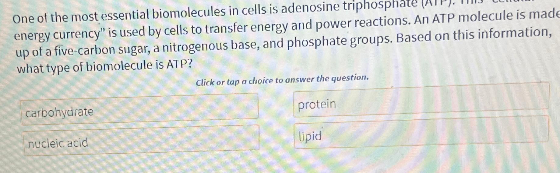 Solved One of the most essential biomolecules in cells is | Chegg.com