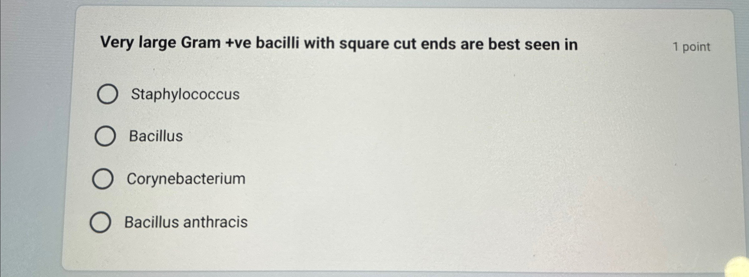 Solved Very large Gram +ve bacilli with square cut ends are | Chegg.com