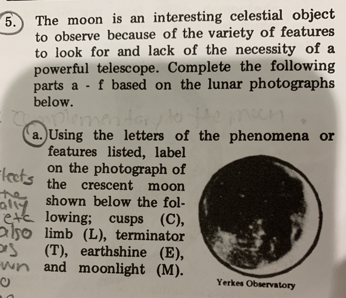 Solved the moon is an interesting celestial object to | Chegg.com