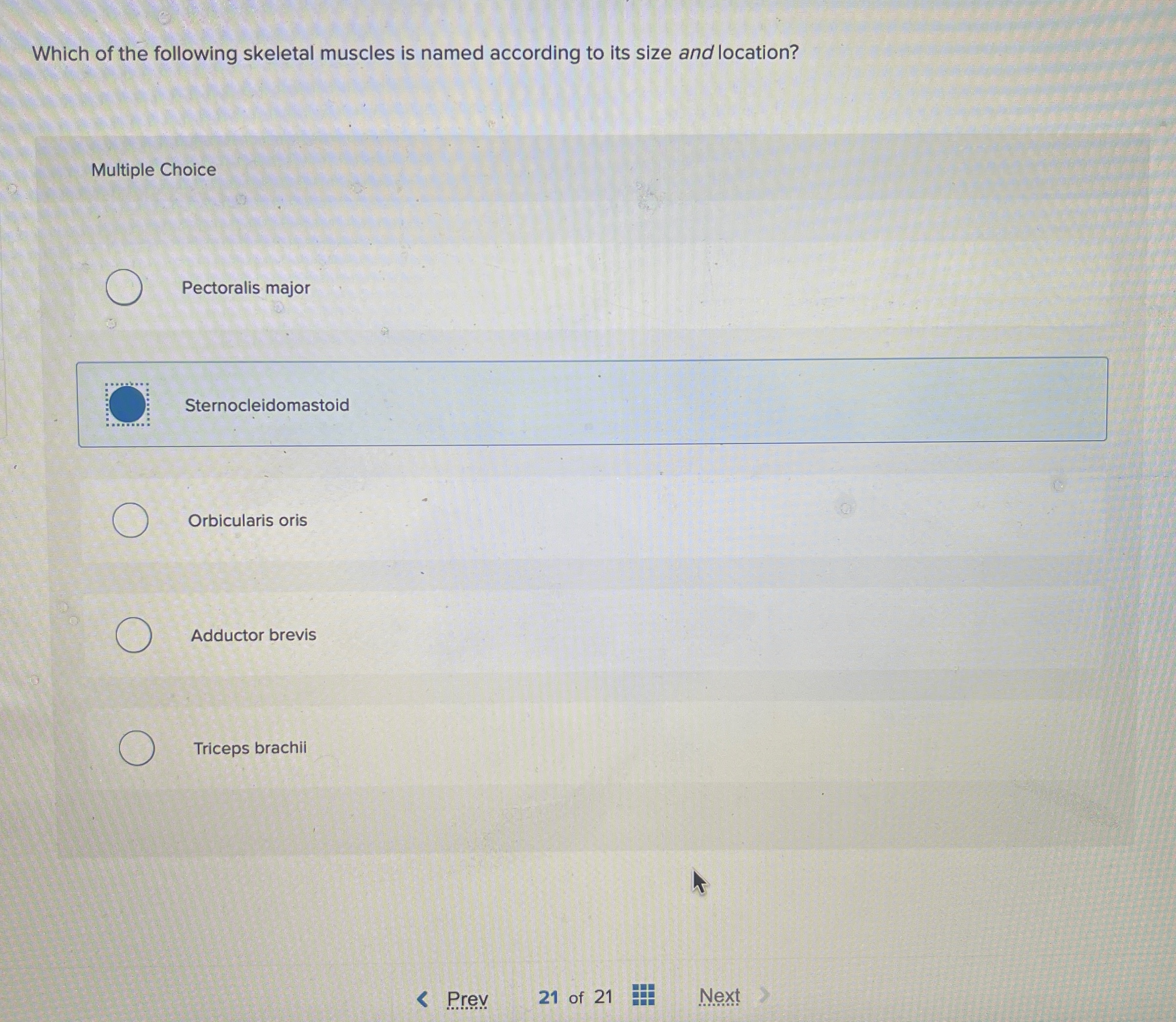 Solved Which of the following skeletal muscles is named | Chegg.com