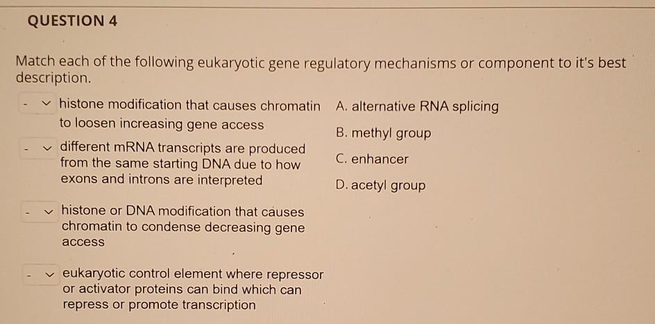 Solved QUESTION 1 The following is true about epigenetic | Chegg.com