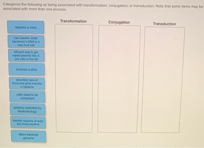 Solved Categorize the following as being associated with | Chegg.com