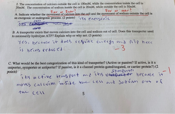 Solved 2. The concentration of calcium outside the cell is | Chegg.com