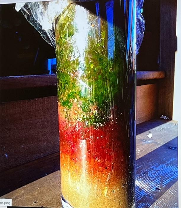 Solved using the Winogradsky column below and the list of | Chegg.com