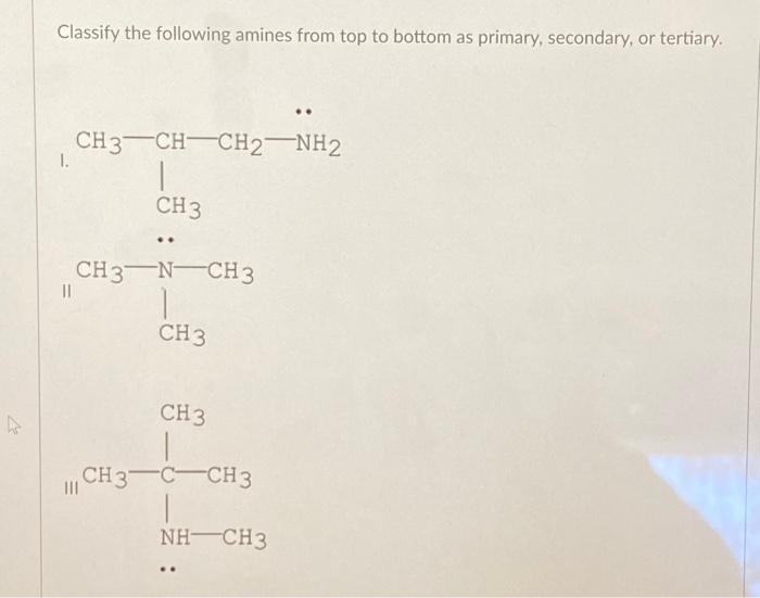 Solved Classify the following amines from top to bottom as | Chegg.com