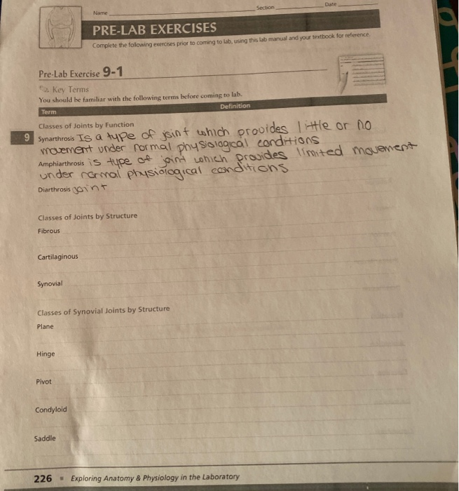 Solved Date Nunc PRE-LAB EXERCISES Complete the following | Chegg.com