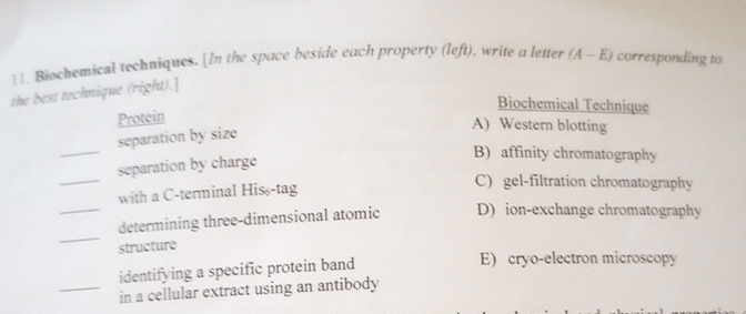 Solved Biochemical techniques. [In the space beside each | Chegg.com