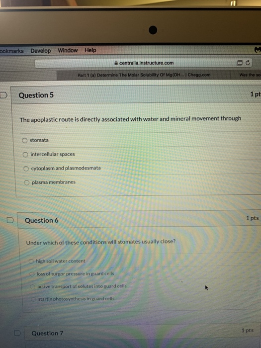 Solved kmarks Develop Window Help centralia. Instructure.com | Chegg.com