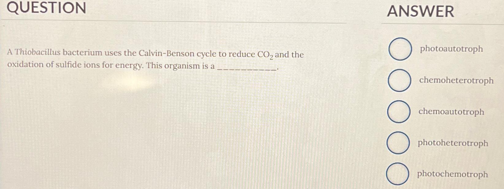 Solved QUESTIONANSWERA Thiobacillus bacterium uses the | Chegg.com