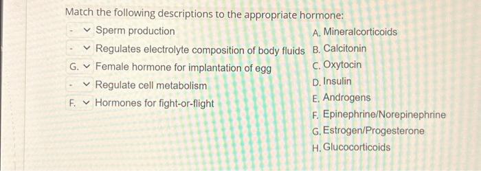 Solved Match the following descriptions to the appropriate | Chegg.com