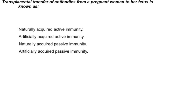 Solved Transplacental transfer of antibodies from a pregnant | Chegg.com