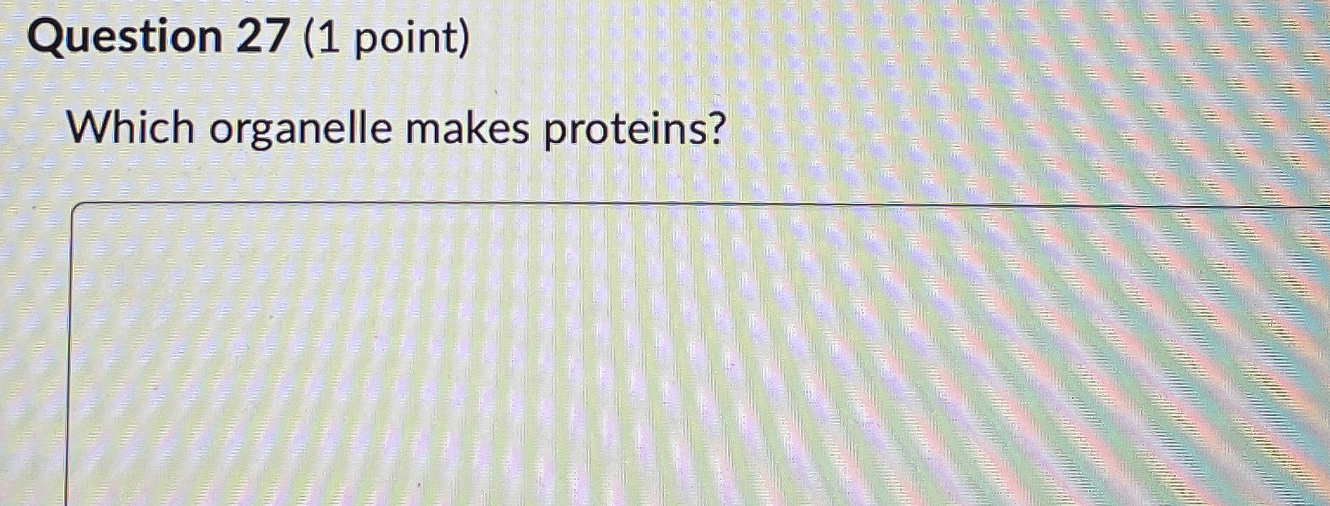 Solved Question 27 (1 ﻿point)Which organelle makes proteins? | Chegg.com