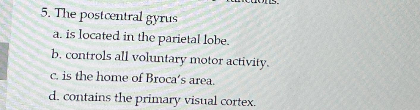 Solved The postcentral gyrusa. ﻿is located in the parietal | Chegg.com