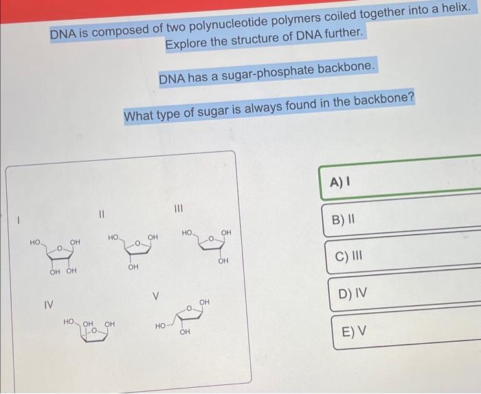 Solved DNA is composed of two polynucleotide polymers coiled | Chegg.com