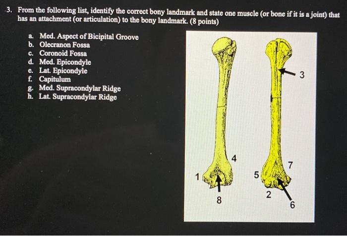 Solved 3. From the following list, identify the correct bony | Chegg.com