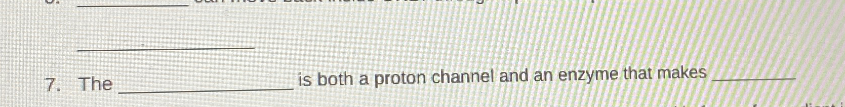 The ﻿is both a proton channel and an enzyme that | Chegg.com