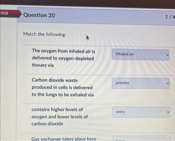 Solved The oxygen from inhaled air is delivered to | Chegg.com