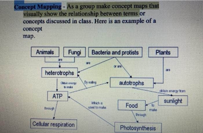 Solved Create a concept map with the terms provided, link | Chegg.com
