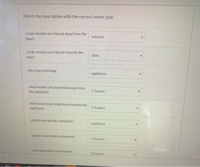 Solved Match the description with the correct vessel type. | Chegg.com