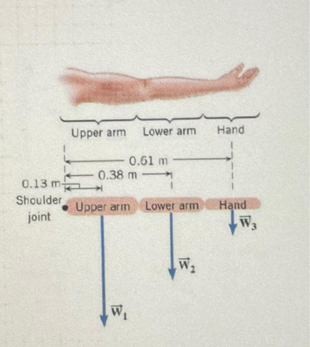 Solved 1. The horizontal arm is composed of three parts: the | Chegg.com