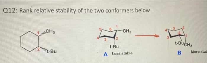 Solved Q12: Rank relative stability of the two conformers | Chegg.com