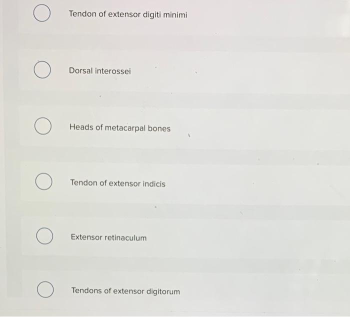 Solved Tendon of extensor digiti minimi Dorsal interossei | Chegg.com
