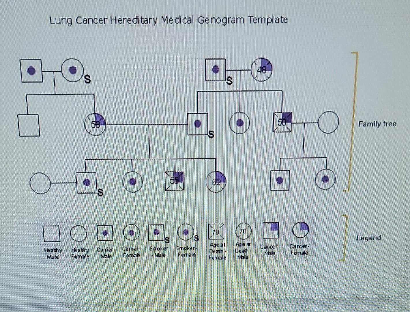 Solved Lung Cancer Hereditary Medical Genogram Template | Chegg.com