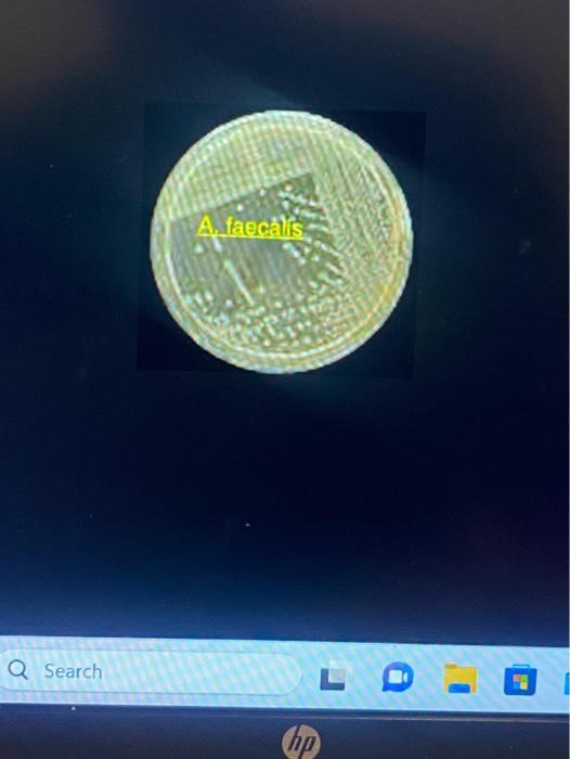 Starch plate - Data OF-glucose - | Chegg.com