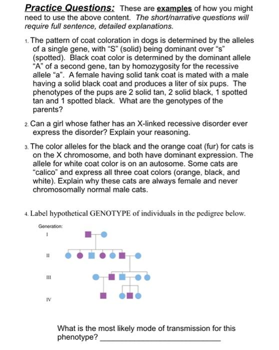 Solved Practice Questions: These are examples of how you | Chegg.com