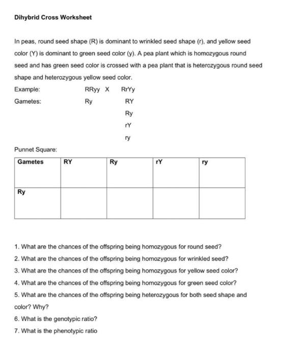 Solved Dihybrid Cross Worksheet In peas, round seed shape | Chegg.com