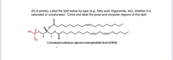 Solved 2d (4 points): Label the lipid below by type (e.g., | Chegg.com