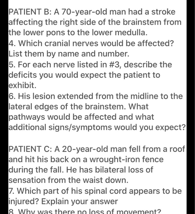 Solved PATIENT B: A 70-year-old man had a stroke affecting | Chegg.com
