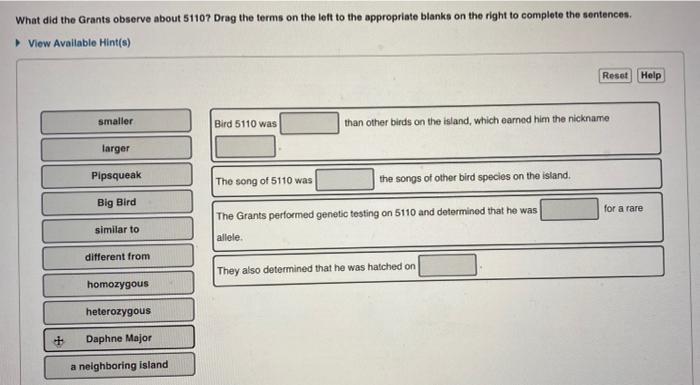 Solved What did the Grants observe about 5110 ? Drag the | Chegg.com